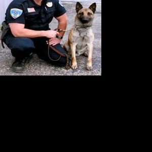 Goodview police dog dies in freak accident