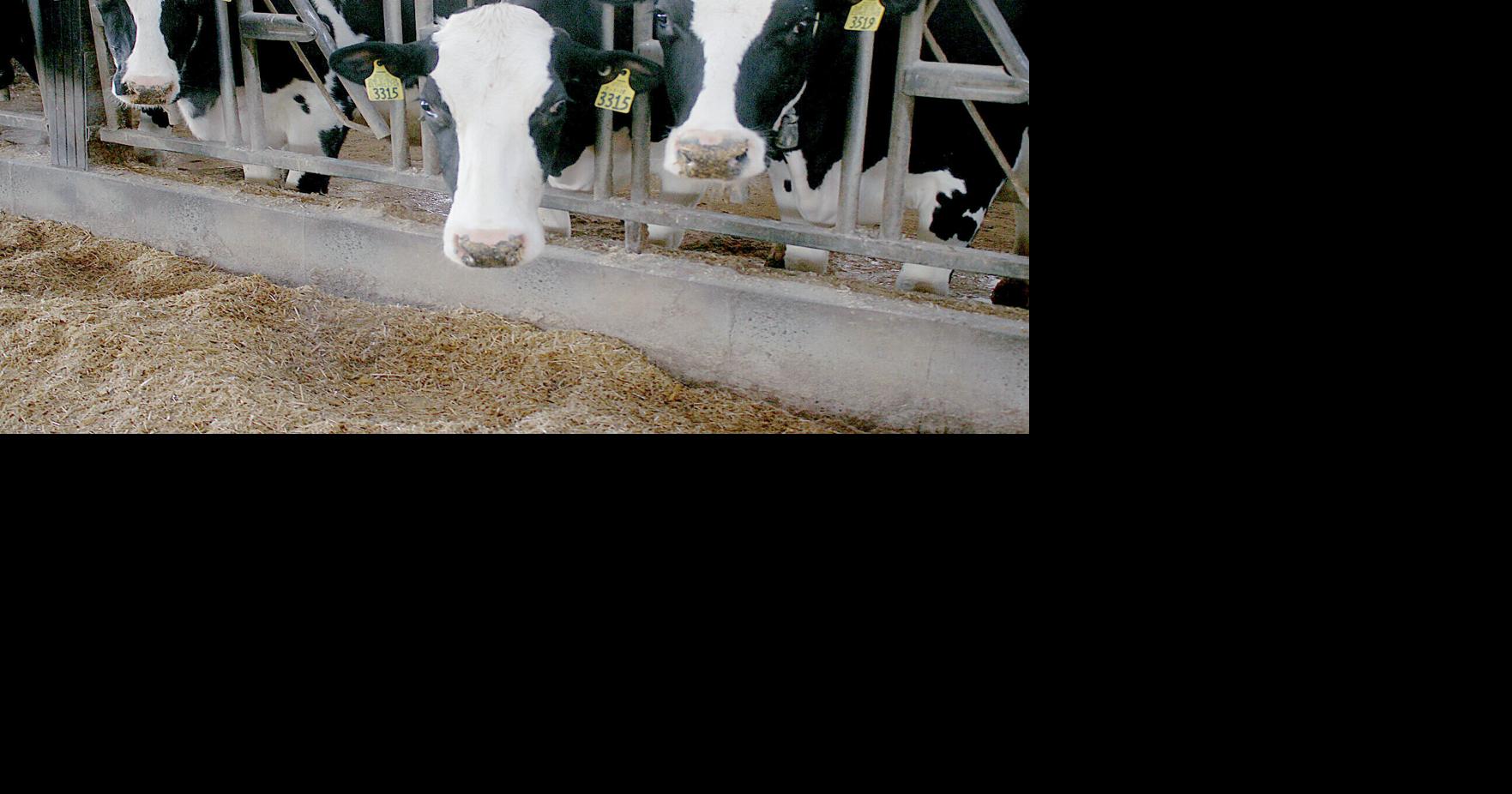 I-29 Moo University presents 'KeepOrBeef' webinar Oct. 31