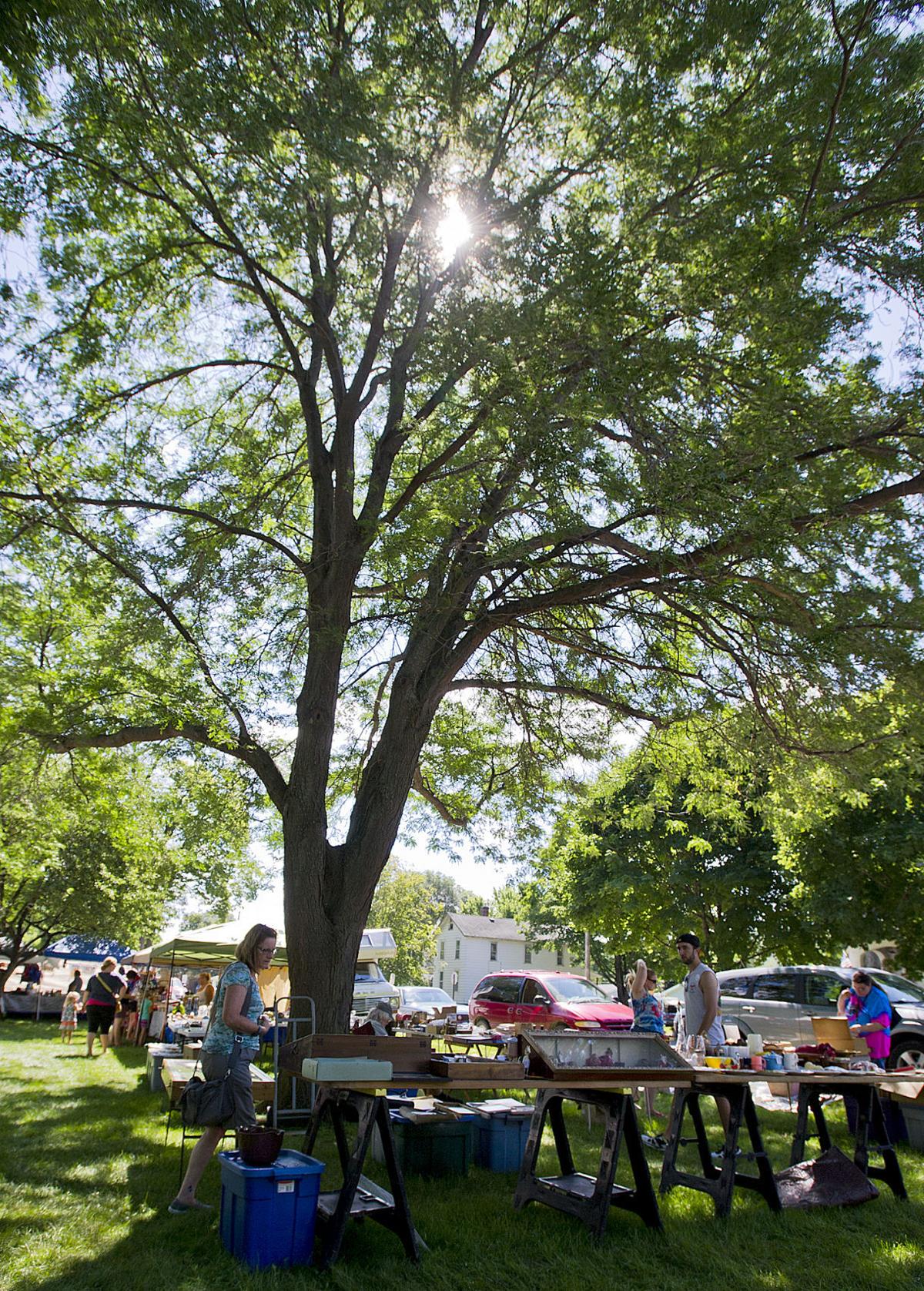 Photo gallery: Houston Hoedown Days | Local | winonadailynews.com