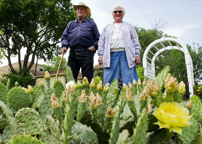 A cactus in the family: Winona couple's Nebraska prickly pear lives on ...