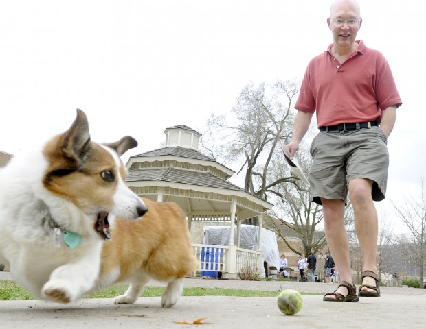 Speaker discusses dog’s ability to seek optimal solutions | Local ...