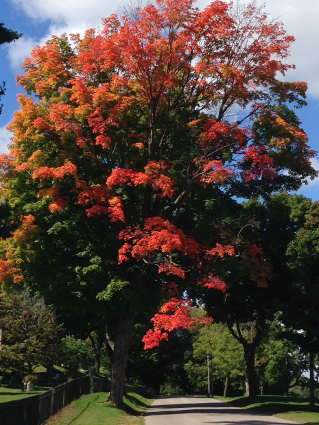 Photos: Regional Fall Color