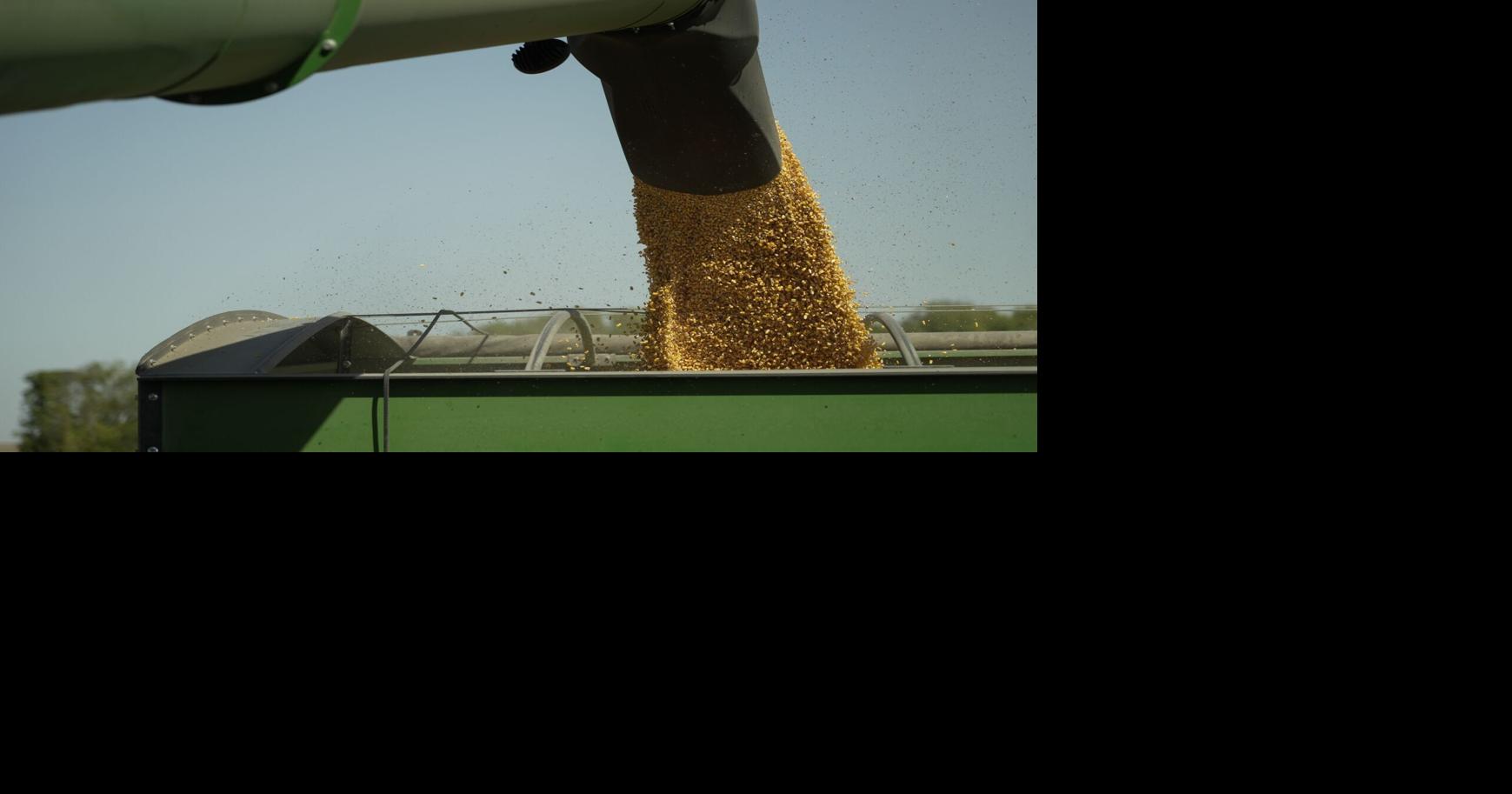 Lewiston farmer wins 2023 national corn yield contest