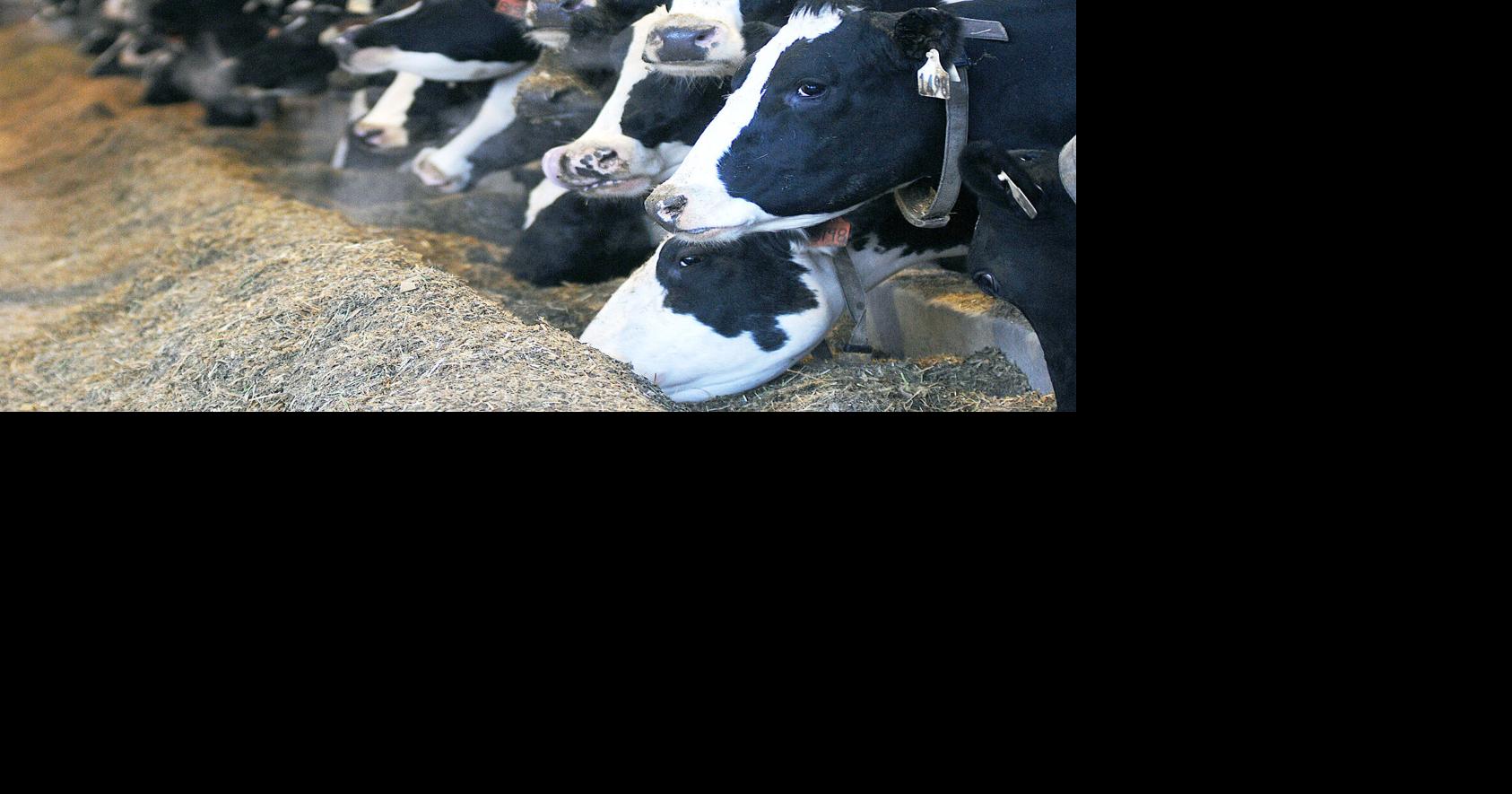 Winona County farm expansion denial upheld by court