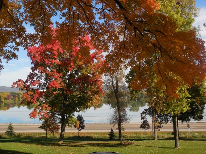 Gallery: Reader-submitted photos showcase fall colors