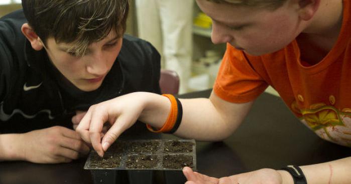 Sprouting knowledge: Master gardeners teach WMS students the value of growing food