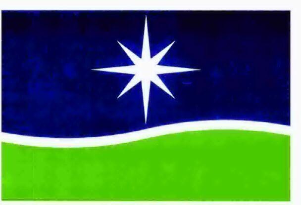 Flag design narrowed to 3 finalists