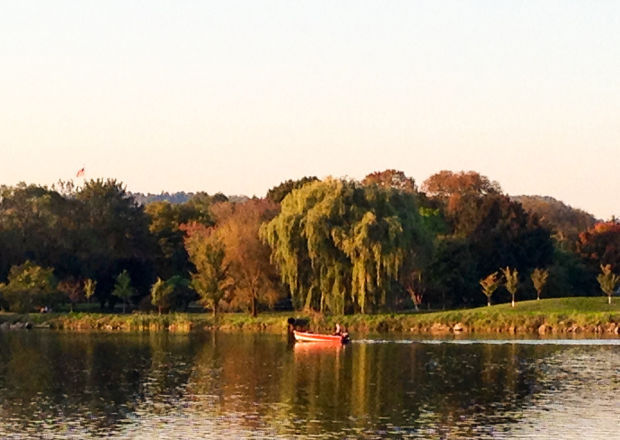 Photos: Regional Fall Color