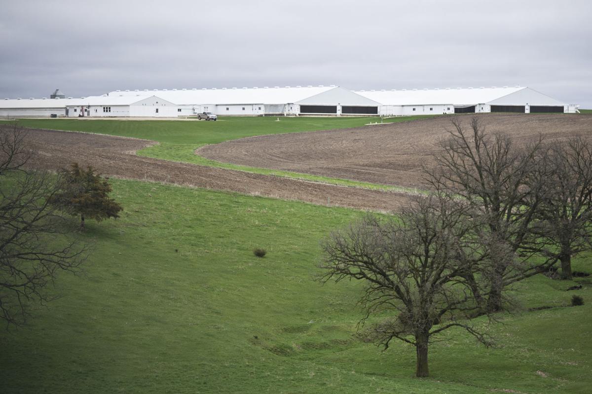 County Planning Commission recommends feedlots for approval