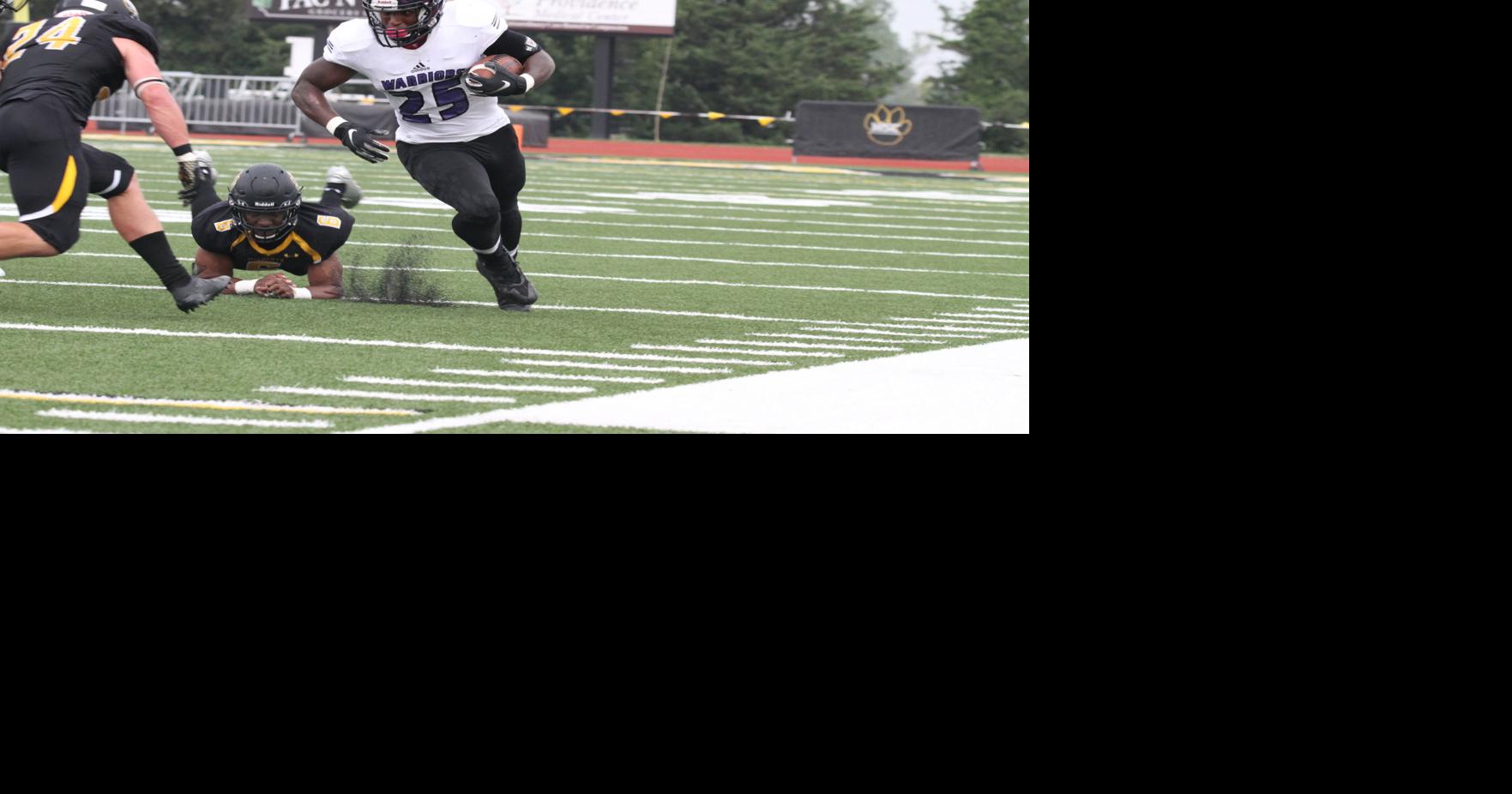 Winona State football: Warriors force four turnovers, defeat Wayne ...