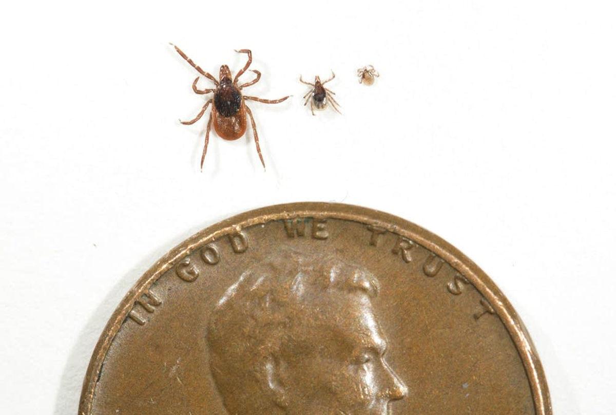Warm spring brings ticks out early across Midwest