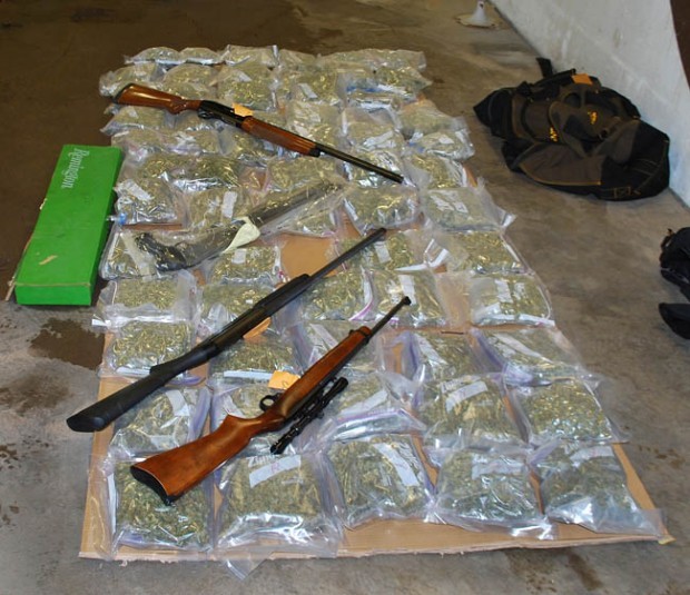 Record pot bust in Buffalo County