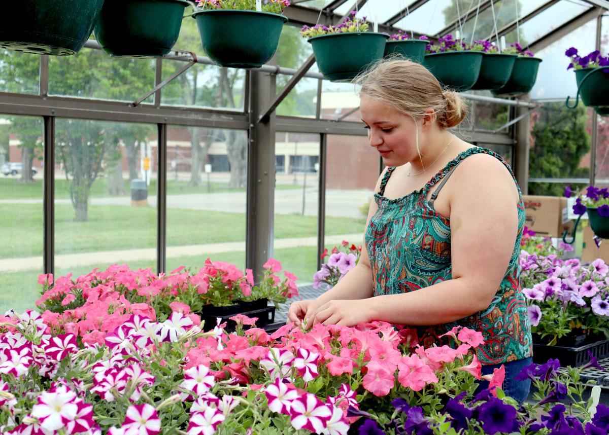 Winona FFA's plant sale benefits students, community