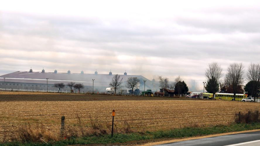 2 horses die, 5 people displaced in Equestrian Center fire