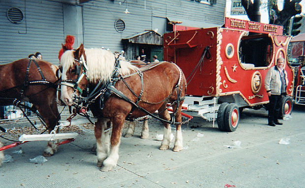 Photos: Winona Steam Calliope