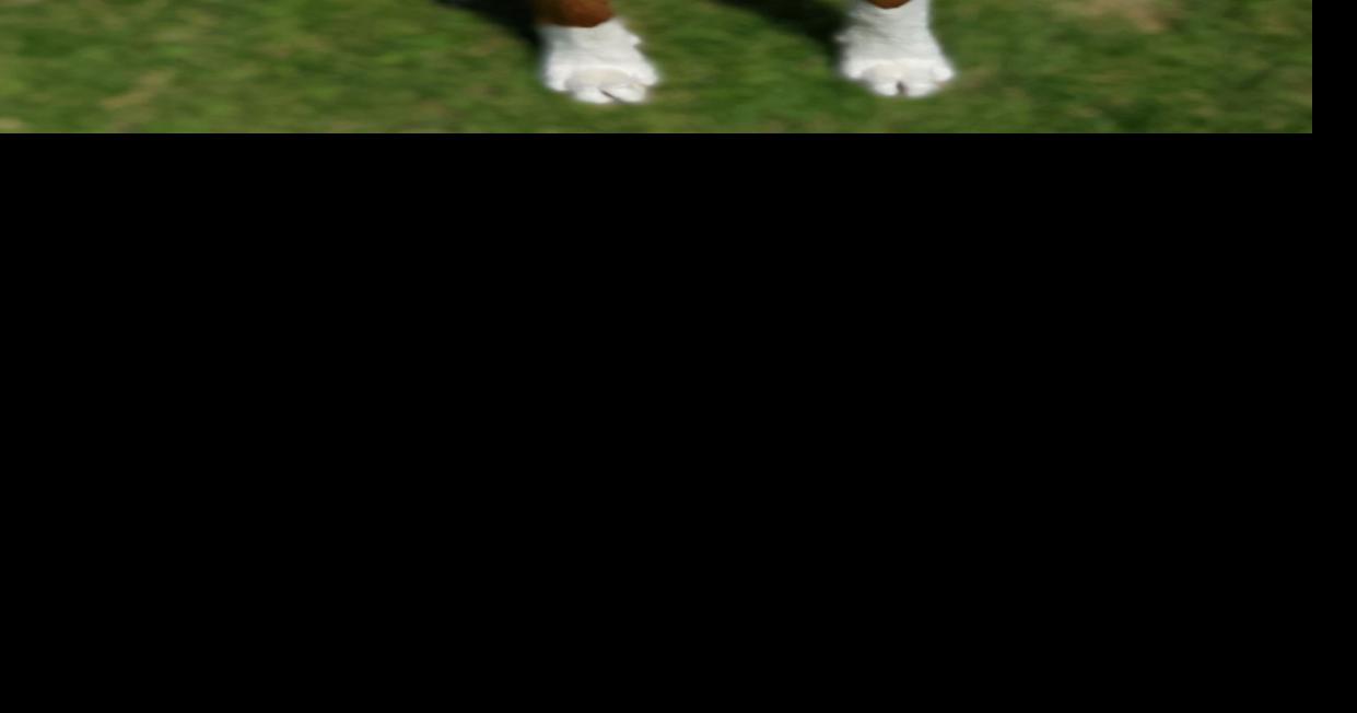 PET OF THE WEEK: Riley