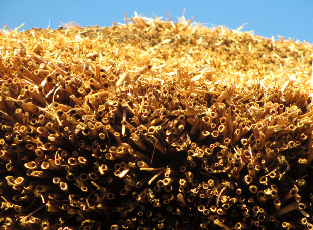 Kinstone aims to teach people how to learn from and love the land ...