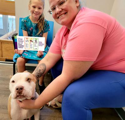 Pet Pulse: 'Rule of 3' helps new pets adjust