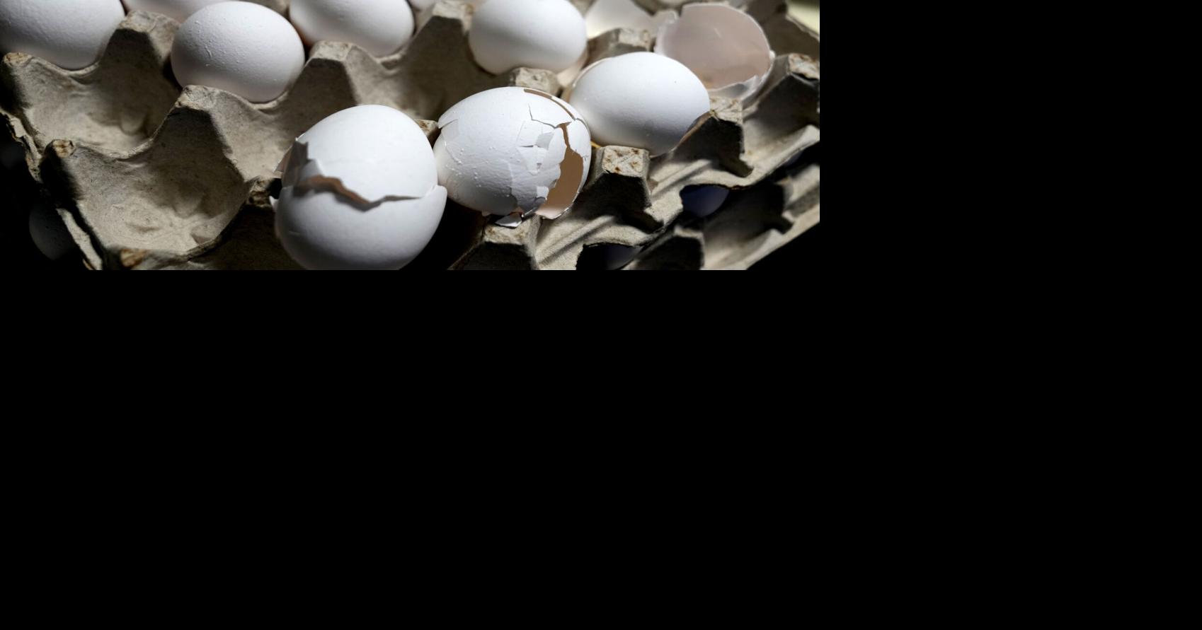 Study: Eggs less likely to crack when dropped on side