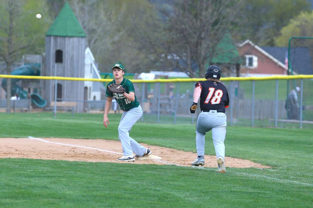 High school baseball: Rushford-Peterson falls to St. Charles in ...