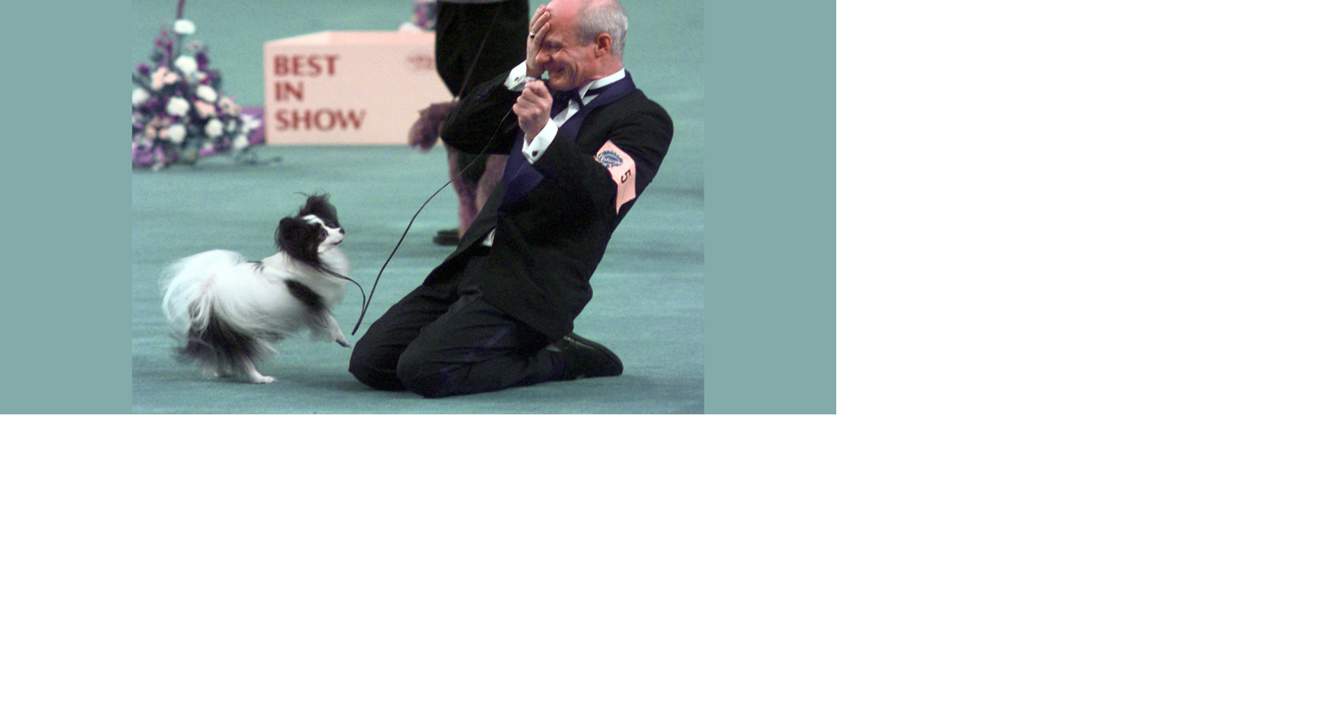 Then and now: The Westminster Kennel Club dog show at 150