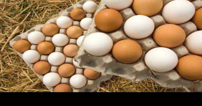 Alexandra Economy: Eggs can be healthy part of everyday meals