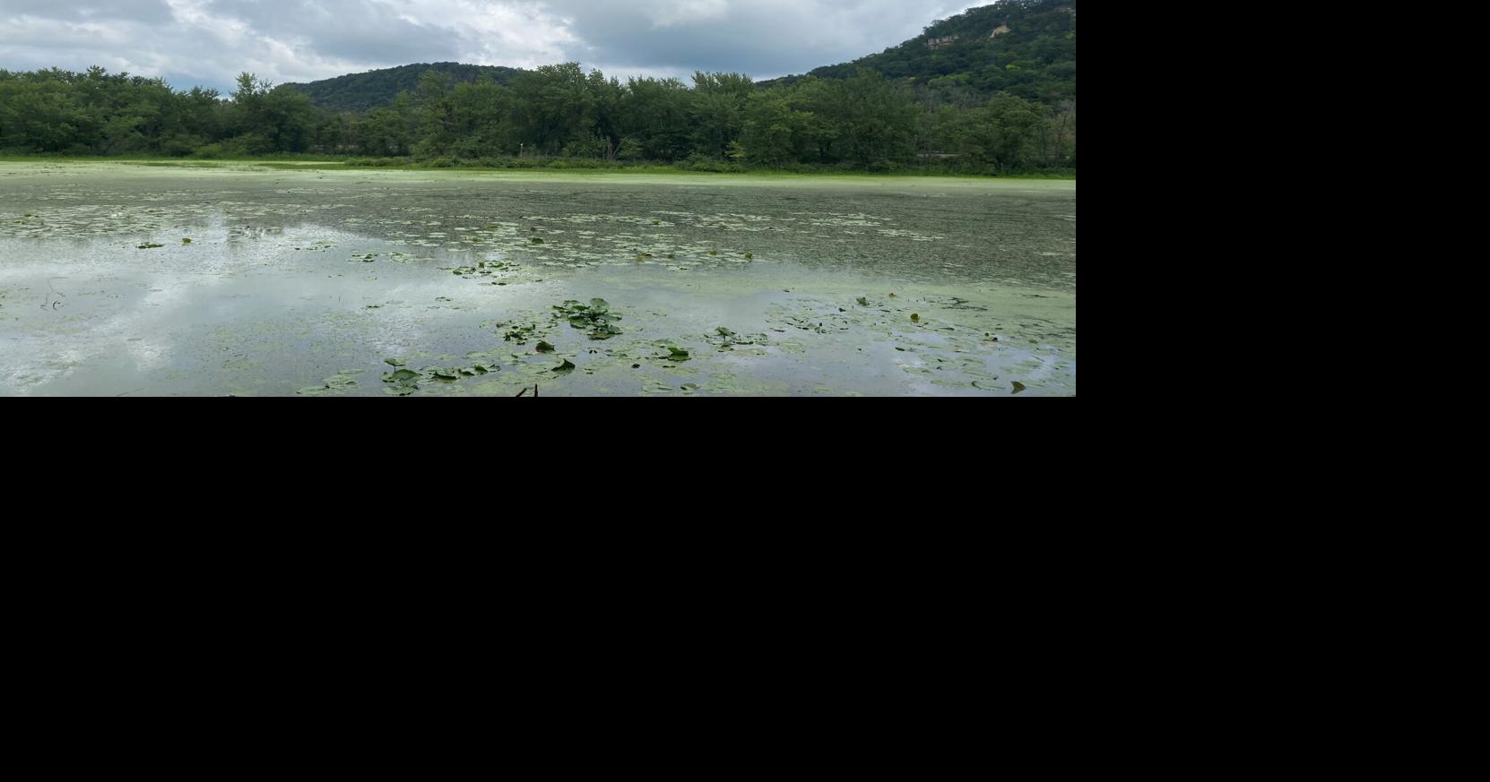 Touring the River Valley: Merrick State Park