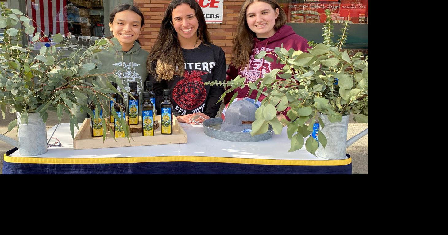 Seniors put skills, knowledge to the test through SAE projects ...