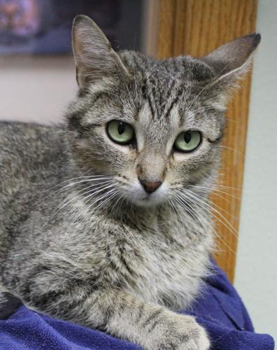 PETS OF WEEK: Marley and Mama Bear