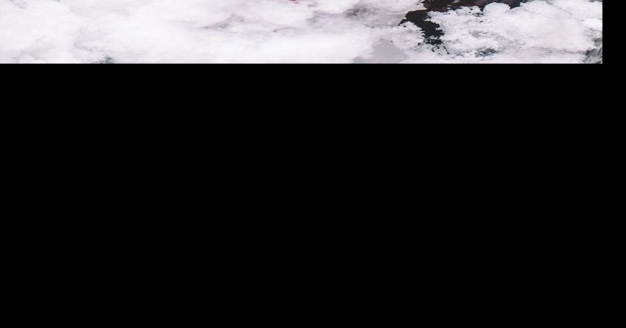 MAKE THEM COLD QUICK