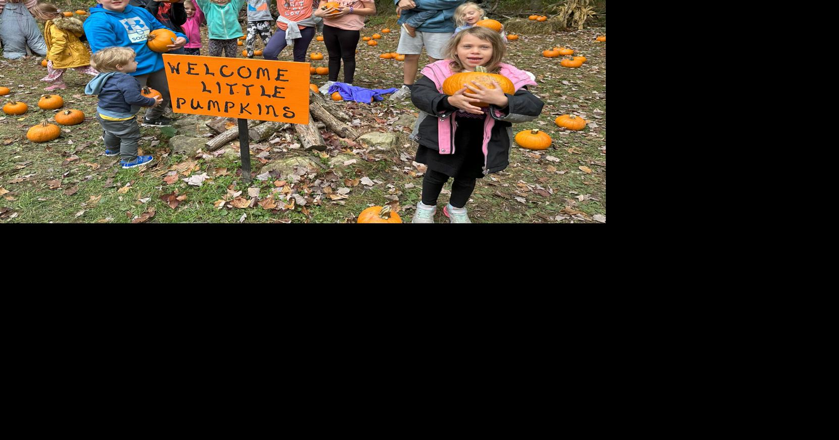 Pumpkin Trains ready to roll