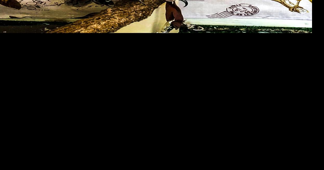 Scott Frostman: Give a hoot, don't go climate crazy