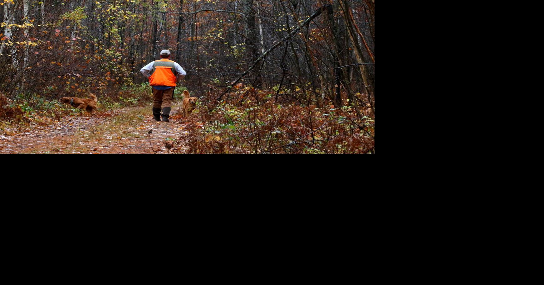 Why northern Wisconsin is a destination for ruffed grouse