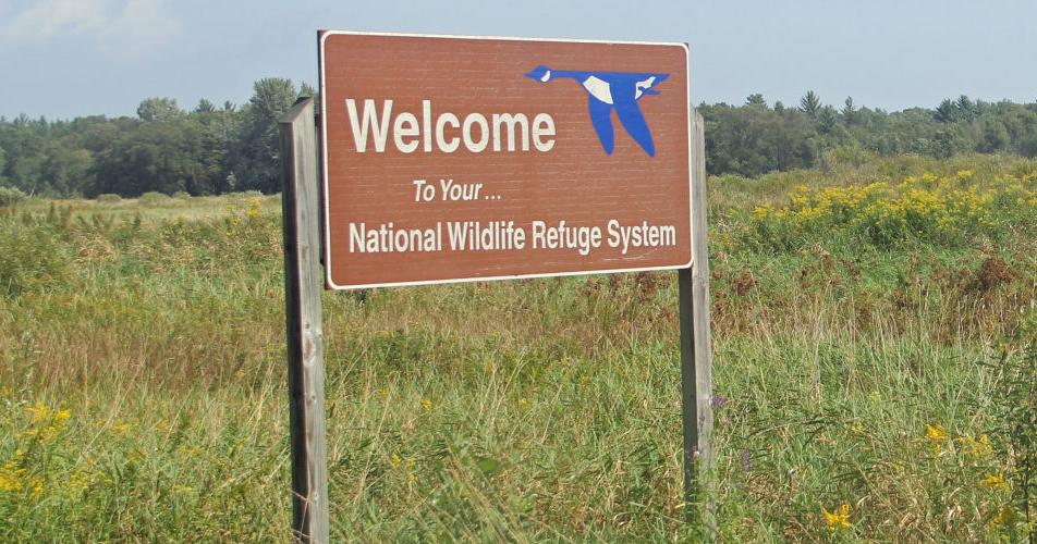 IN DEPTH: Necedah wildlife refuge looks to continue to adapt and grow
