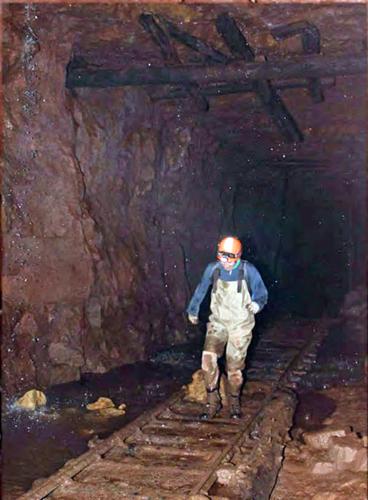 'Bats of the Neda Mine' presentation on Sunday