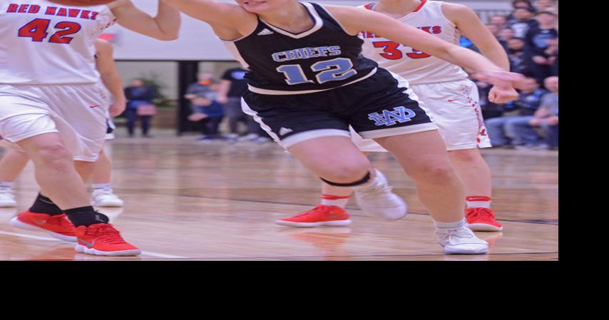 PREP GIRLS BASKETBALL: Wisconsin Dells survives wild finish, wins 47-46 ...