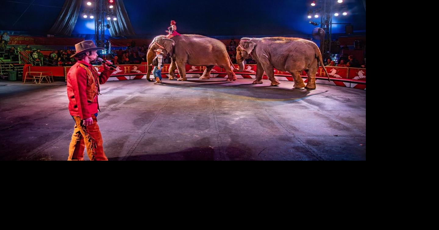 Baraboo’s elephants hold trunkful of memories