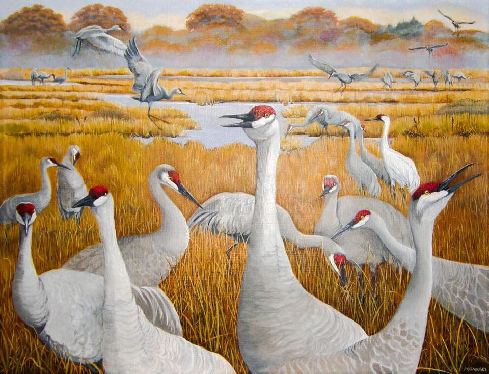 Cool Boo artist show Saturday