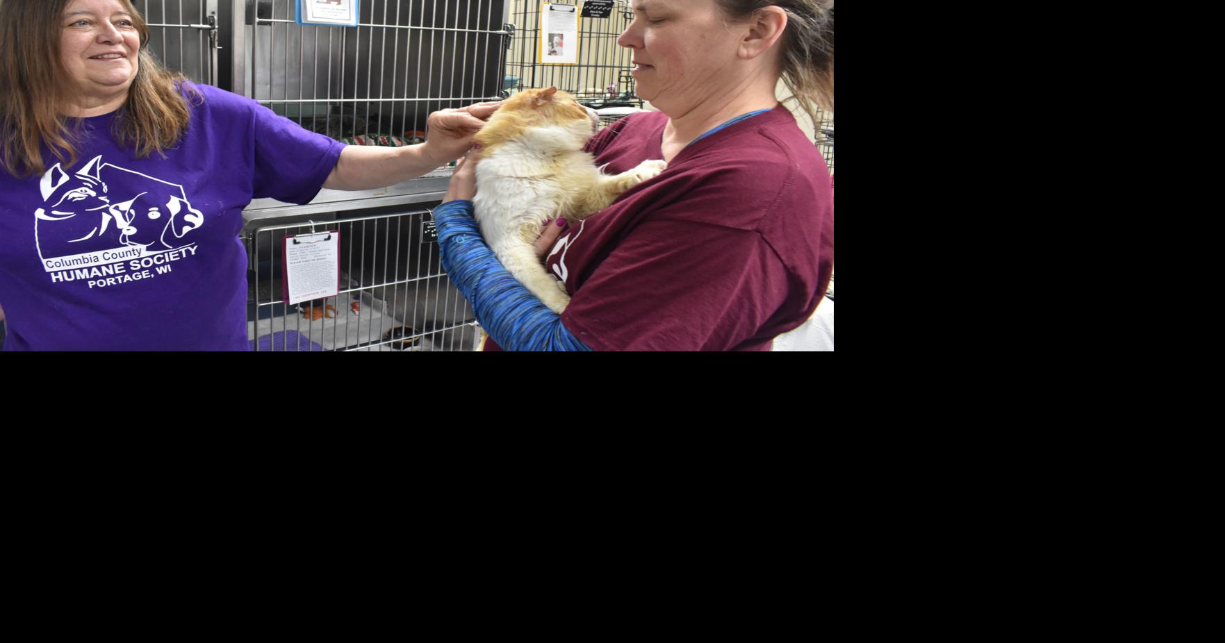 GALLERY: Columbia County Humane Society holds open house to raise ...
