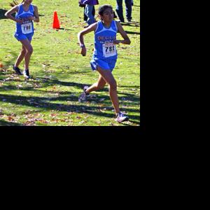 PREP CROSS COUNTRY: Wisconsin Dells girls make historic run to state meet