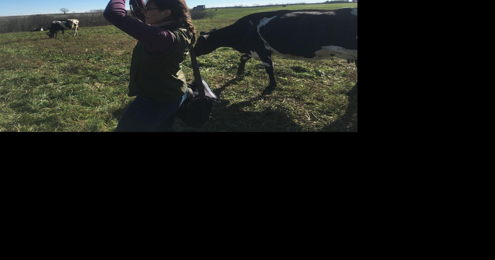 State Journal named best daily newspaper in Wisconsin