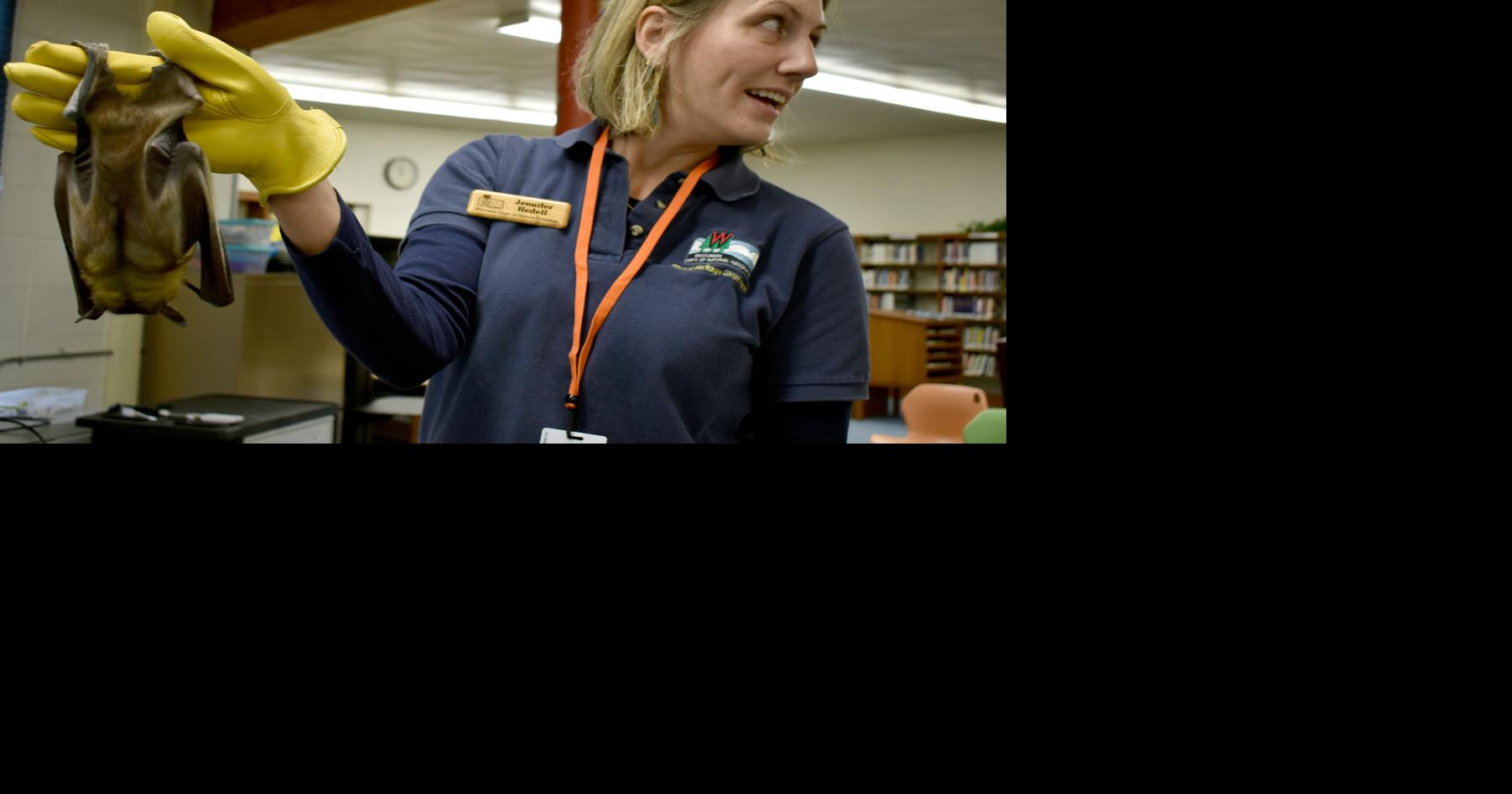 Bat biologist gives Portage students inside scoop on bats