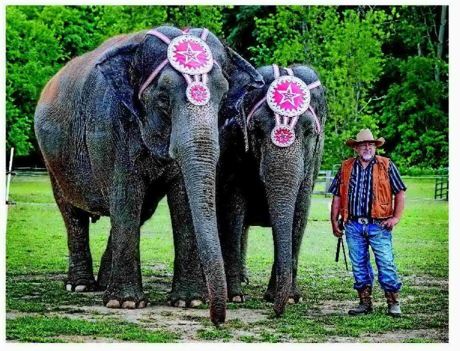 Circus World's elephants take final bow