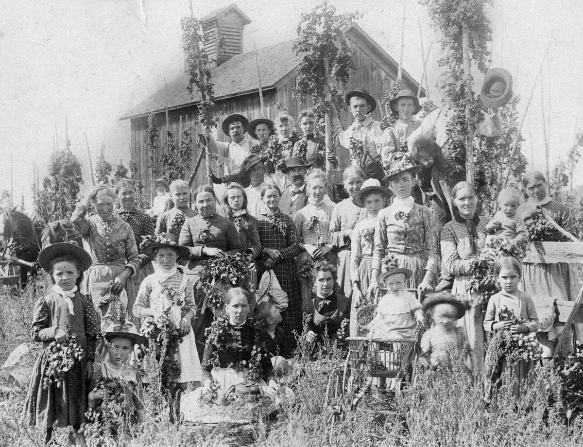 ONCE UPON A TIME -- HOP PICKERS