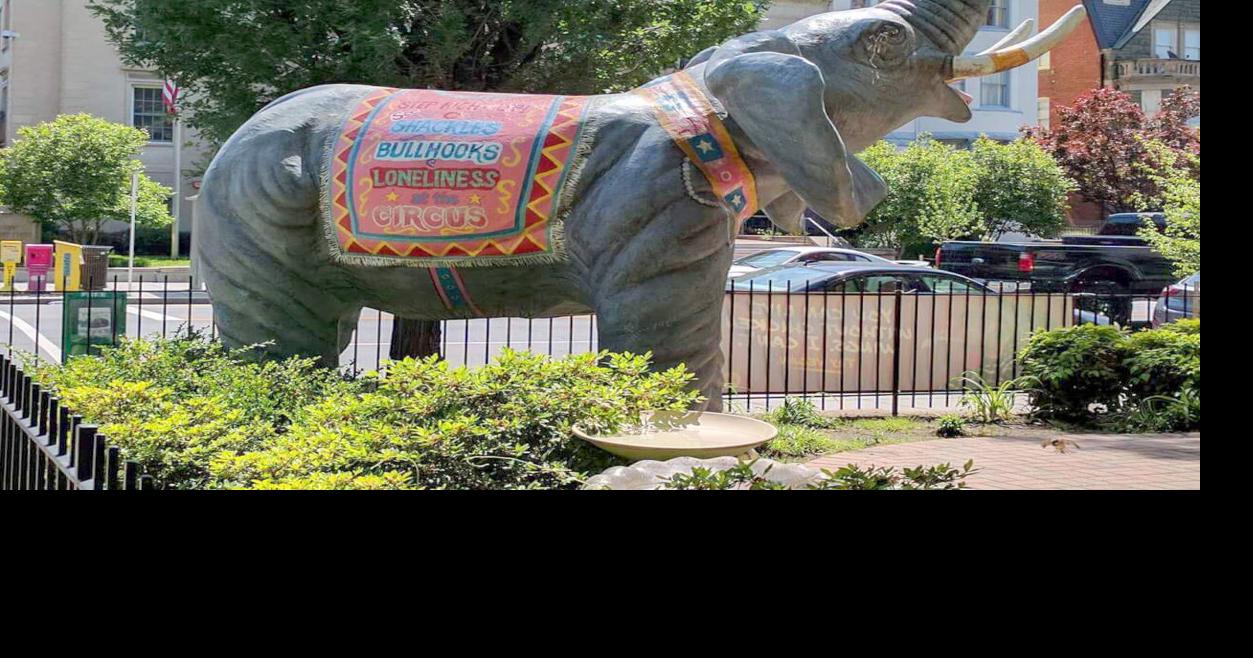 PETA offers shackled elephant sculpture to Baraboo arts group