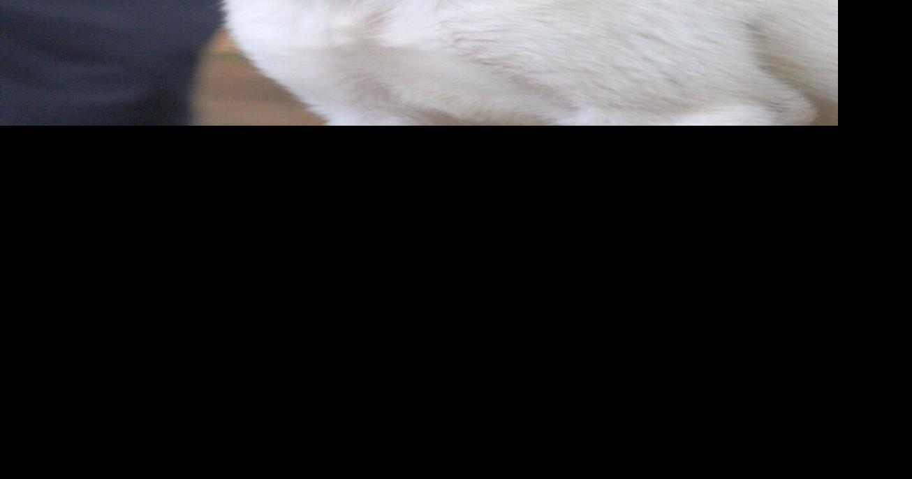 PETS OF WEEK: Lisa and Trixie