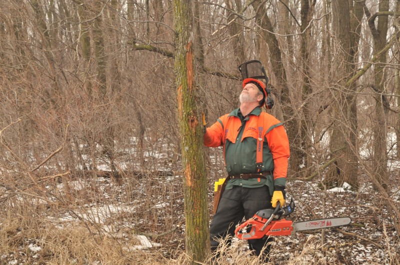 Chain saw safety starts with knowledge | News | wiscnews.com