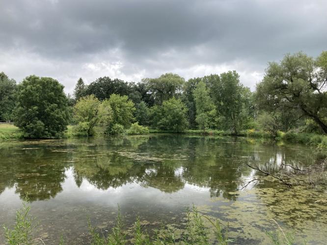 Go wild: Natural Resources Foundation of Wisconsin offers field trips ...