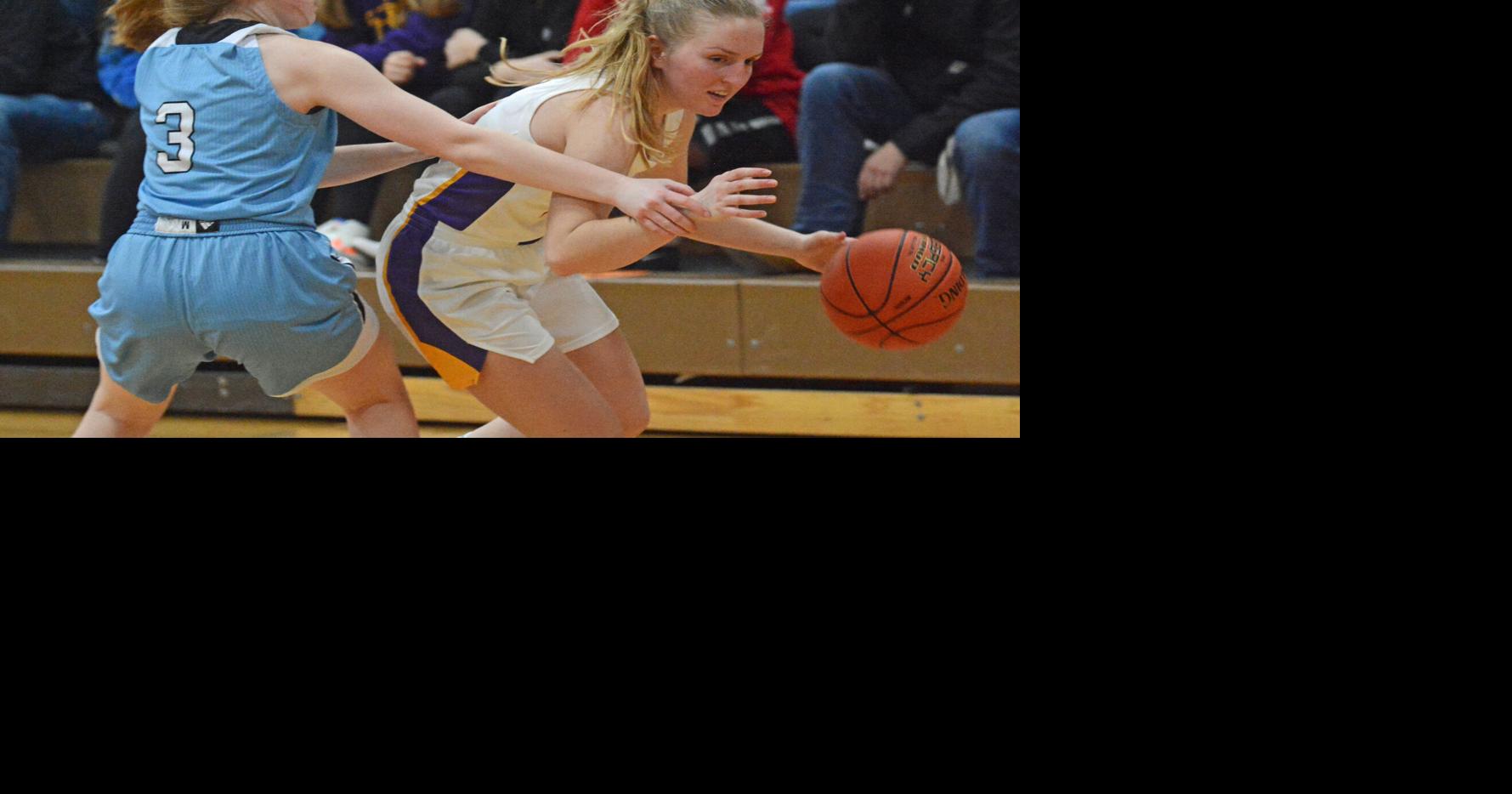 Photos: Action from the Westfield and Wisconsin Dells girls basketball ...