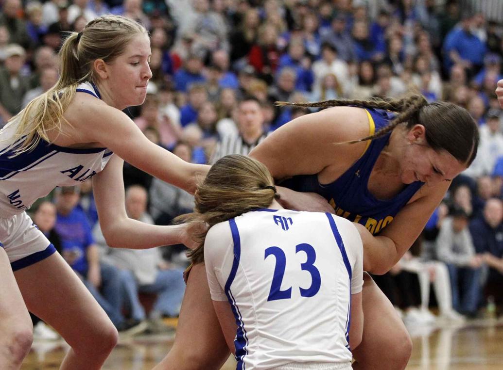Wisconsin Dells girls basketball wins sectional final